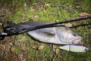 【新製品紹介】MonsterImpact91BH | リップルフィッシャー