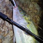 MonsterImpact 91BH 熊本県ブリ・釣果報告 | リップルフィッシャー