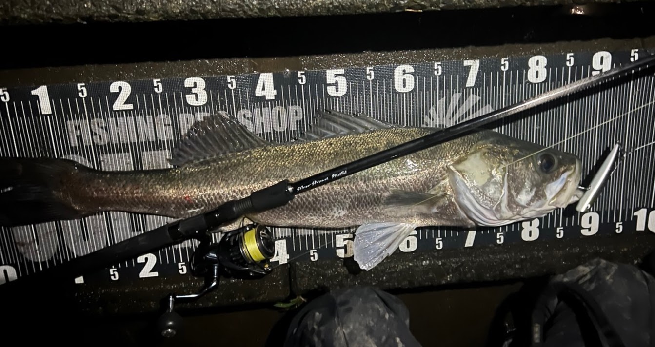 SilverStream Stiletto Development Story Vol.2 | リップルフィッシャーリップルフィッシャー