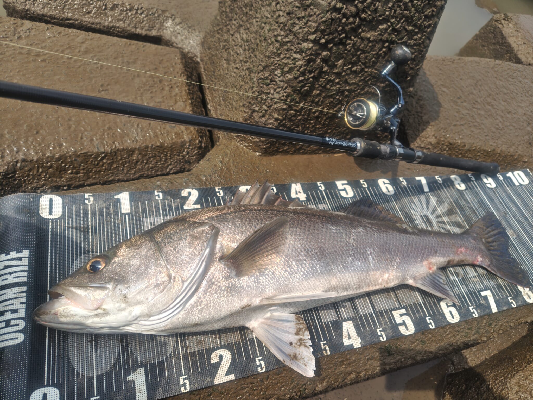 【開発記】SilverStream Stilettoシリーズ開発記 Vol.4 | リップルフィッシャーリップルフィッシャー