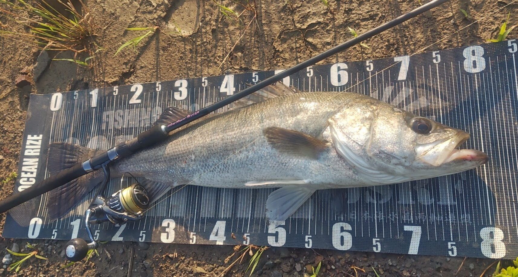 SilverStream Stiletto Development Story Vol.3 | リップルフィッシャーリップルフィッシャー